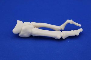 Créaplast : Le Plateau Technique - MedicalExpo