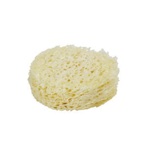 Substitut osseux allogreffe - SteriSorb® - Bone Bank Allografts - pour ...