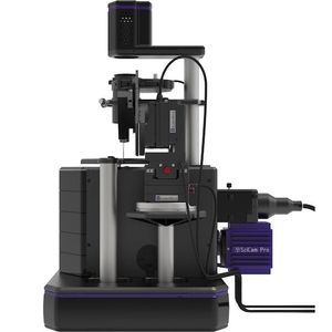 Microscope optique - PatchScope Pro 3000 - Scientifica - pour ...