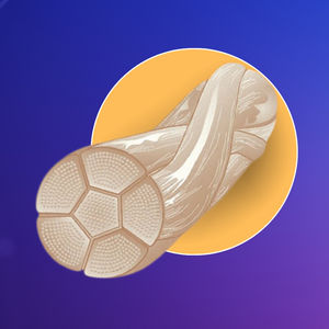 SKY Biotechnology : Soins secondaires - MedicalExpo