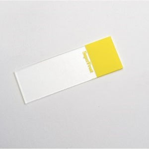 Armoire pour lames de microscope - 3294 - KALTEK - avec tiroir / avec ...