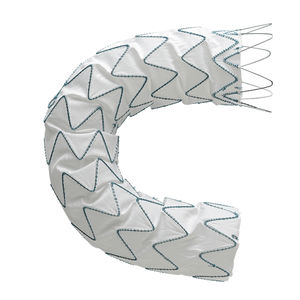 Stent-greffe de crosse aortique - Thoraflex™ - Terumo Aortic
