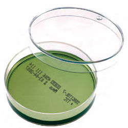 Réactif gel d'agar - B194536 - Vacutest Kima S.r.l. - pour culture ...