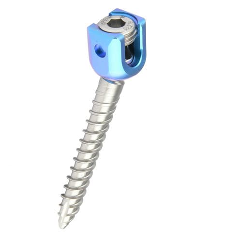 Vis pédiculaire de vertèbre thoraco-lombaire - REED Polyaxial Screw - H ...