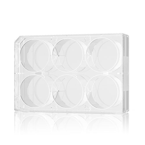 Microplaque de culture cellulaire - CCP01006-B - Vazyme Medical Co.,Ltd ...