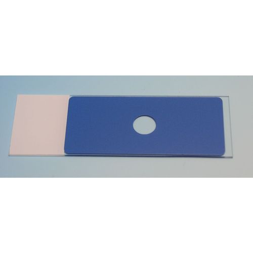 Lame de microscope avec revêtement de couleur - 42424 - Glaswarenfabrik ...