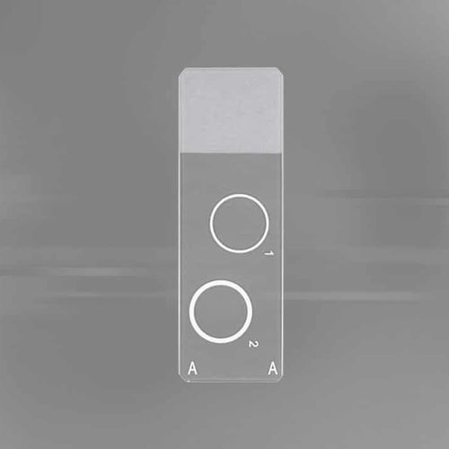Lame de microscope pour la cytologie - 316-100 - Tharmac