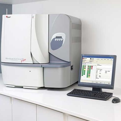 Analyseur automatique de microbiologie - MicroScan - Beckman Coulter