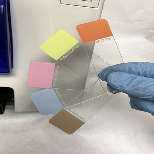 Lame de microscope adhésive - 3800444CL - Leica Biosystems