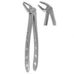 Davier dentaire, Davier - Tous les fabricants de matériel médical