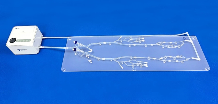 Maladie occlusive artérielle des membres inférieurs (MAJO) - Bin Hai Si ...