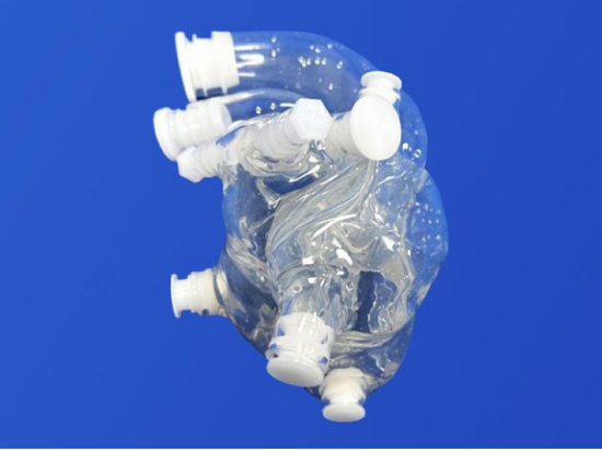 Maladie occlusive artérielle des membres inférieurs (MAJO) - Bin Hai Si ...