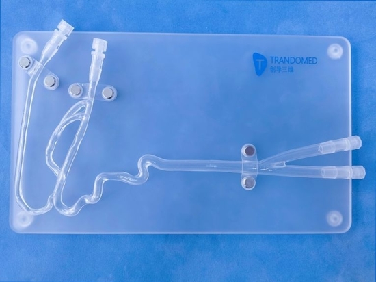 Maladie occlusive artérielle des membres inférieurs (MAJO) - Bin Hai Si ...