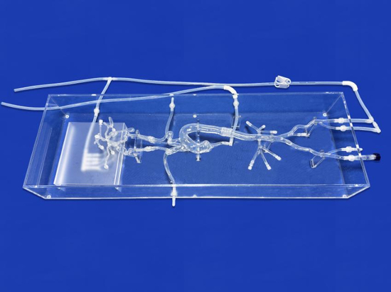 Maladie occlusive artérielle des membres inférieurs (MAJO) - Bin Hai Si ...